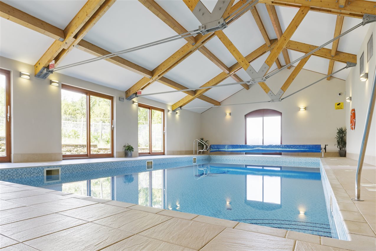 Go Swimming with Farm Stay! | Farm Stay