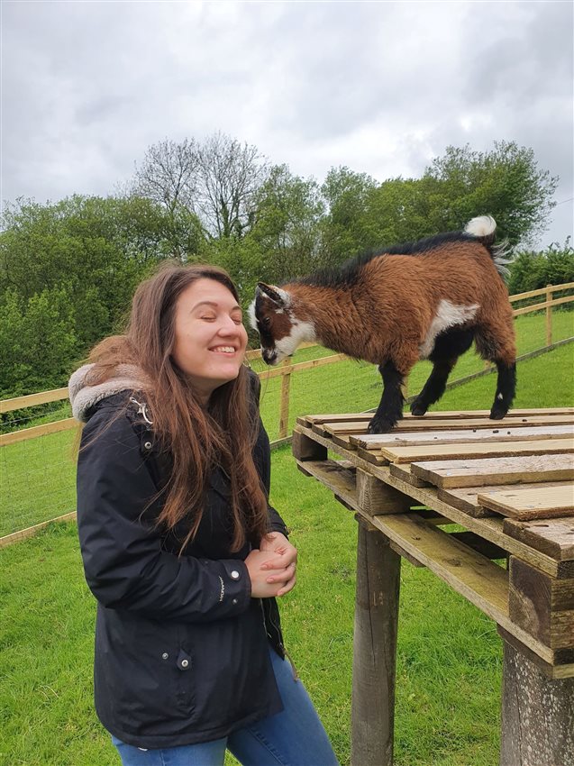 Devenish Pitt Farm and Stables | Farm Stay