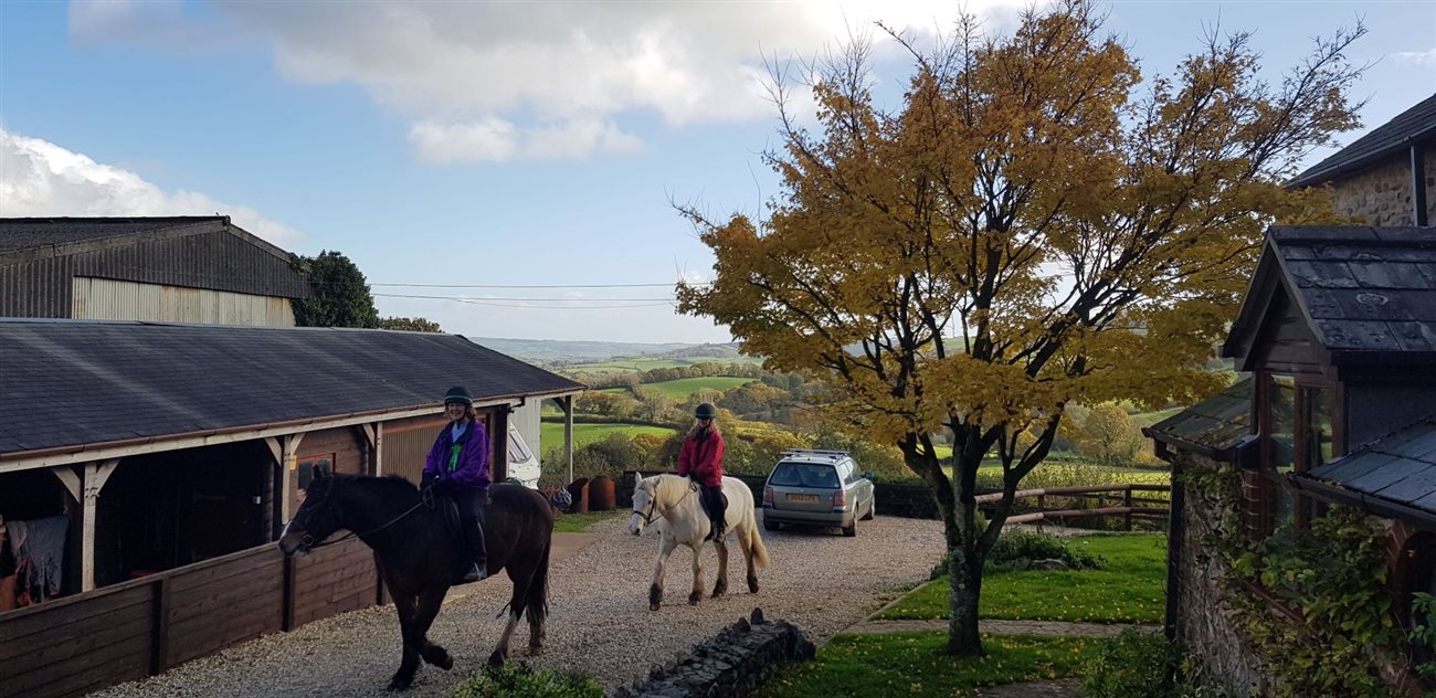 Devenish Pitt Farm and Stables | Farm Stay