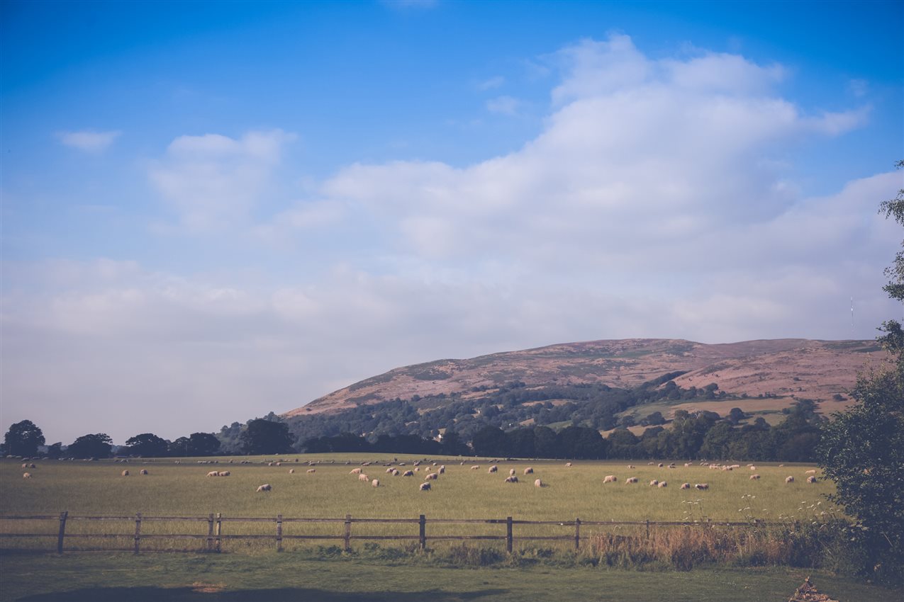 Glan Clwyd Isa | Farm Stay