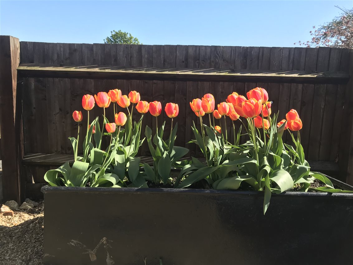 The Stables, Spinney Lodge Farm | Farm Stay