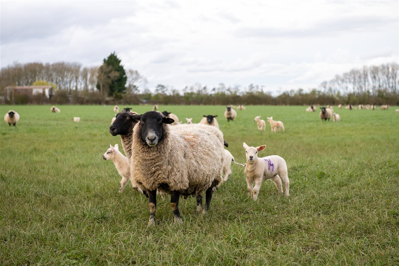 The Stables, Spinney Lodge Farm | Farm Stay