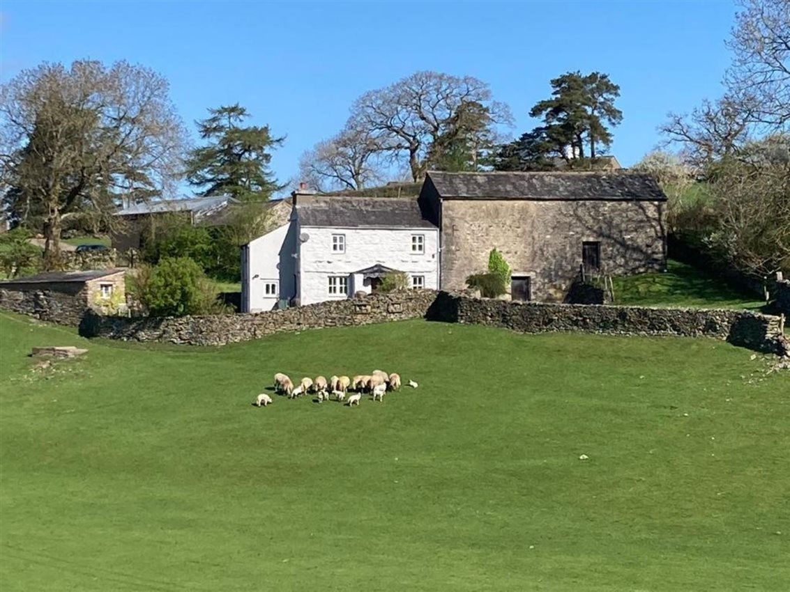 Bramaskew Farmhouse B&B | Farm Stay