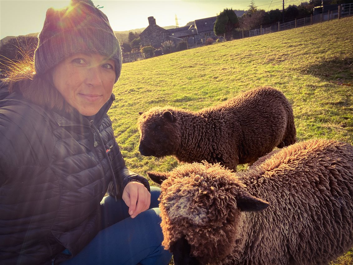 Snowdonia Holidays ~ Tyddyn du Farm | Farm Stay