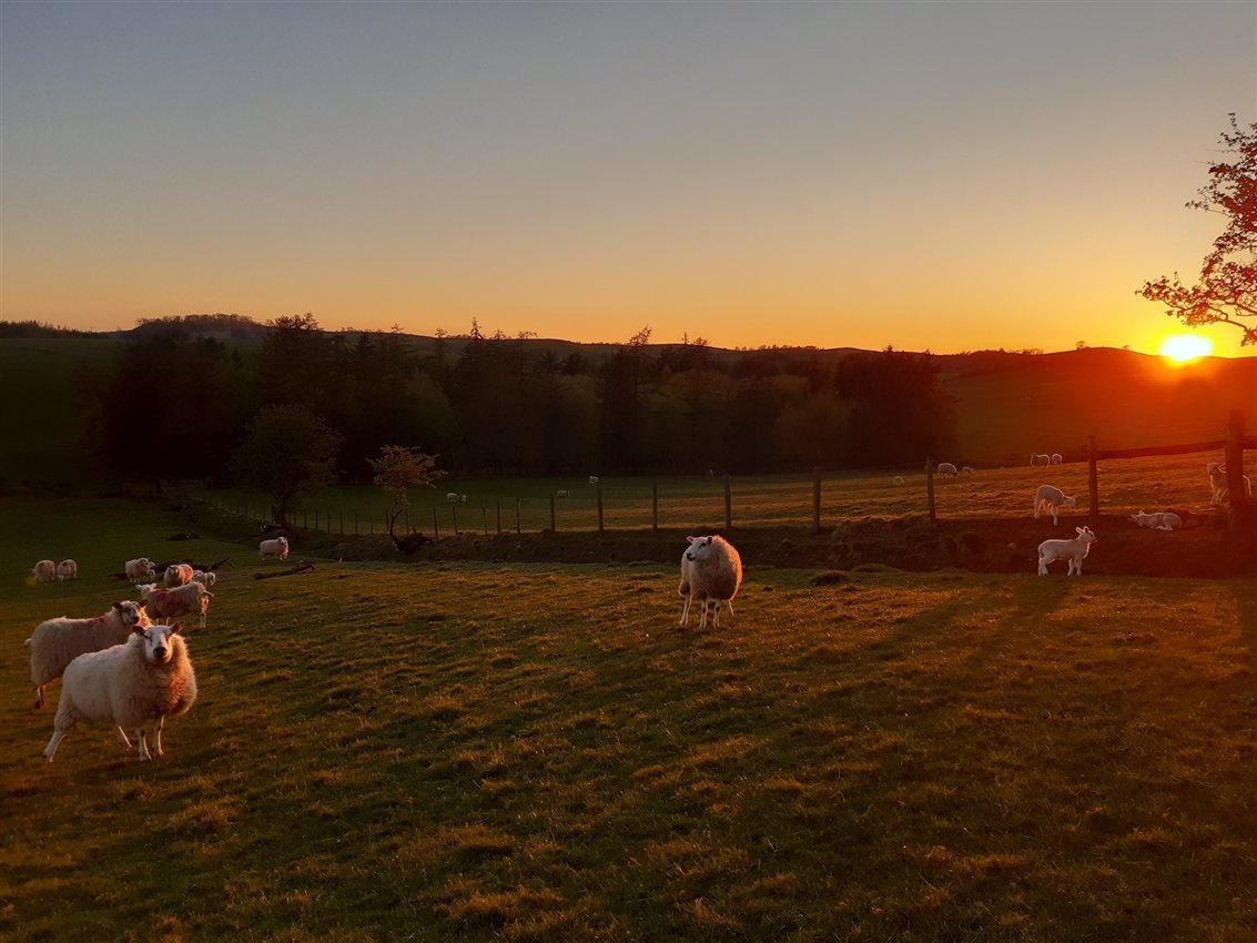 Newton Grange Cottages | Farm Stay