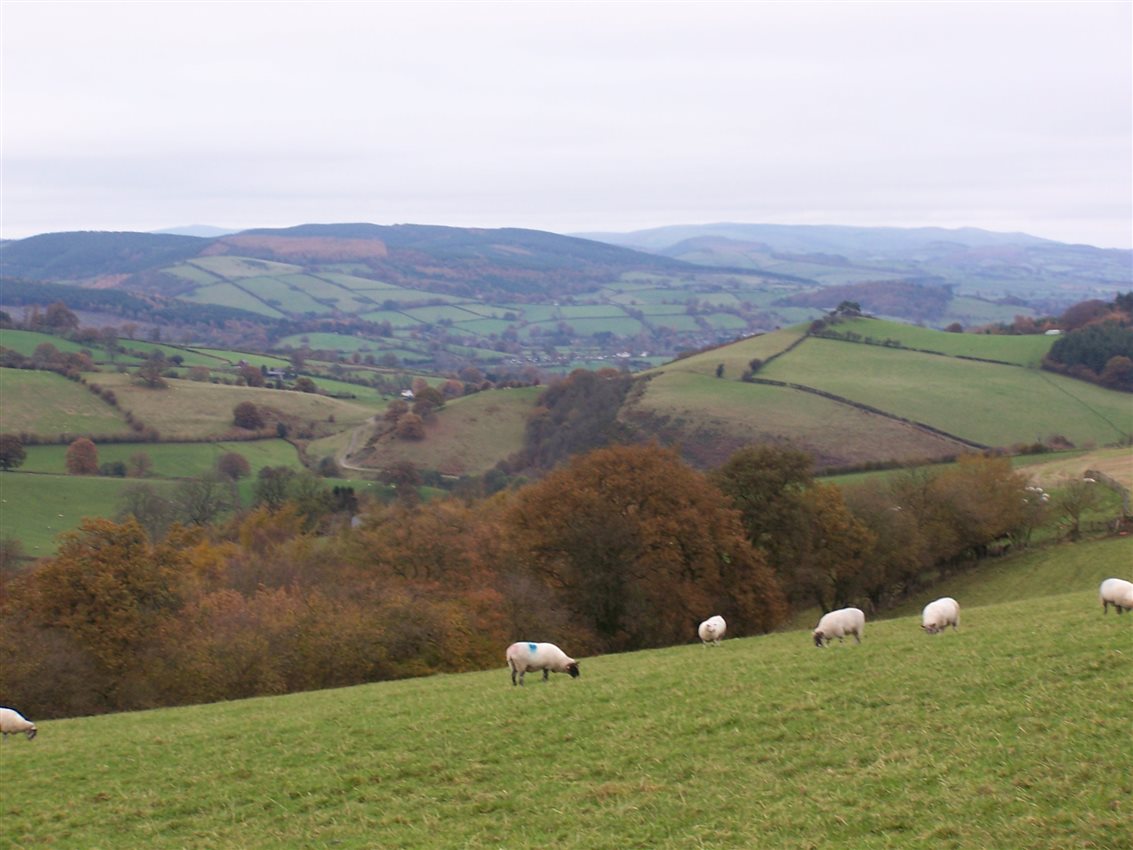 Hicks Farm Holidays | Farm Stay