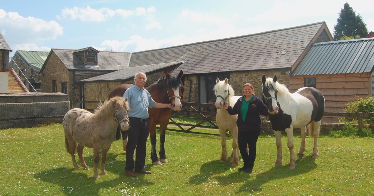 Clyne Farm Centre | Farm Stay
