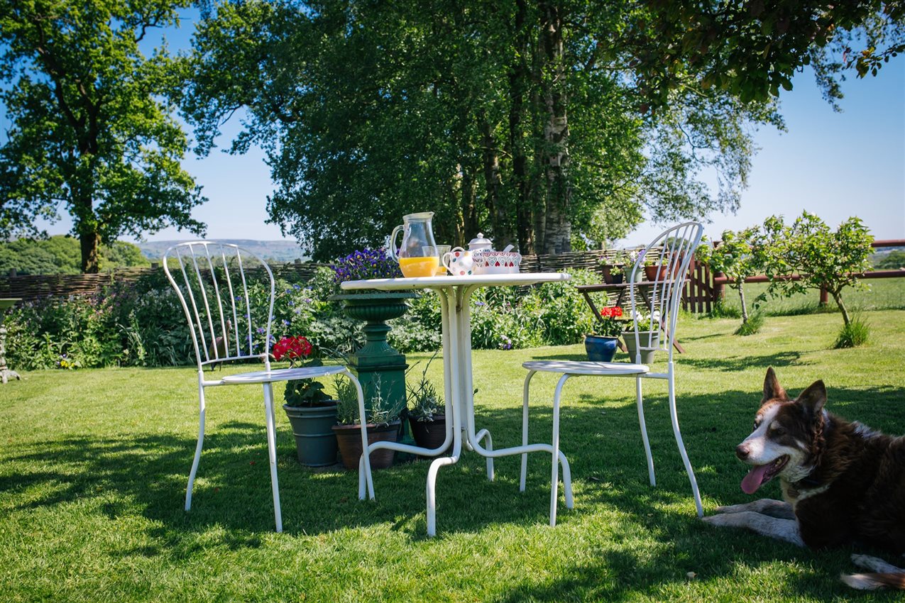 Yew Tree Farm | Farm Stay