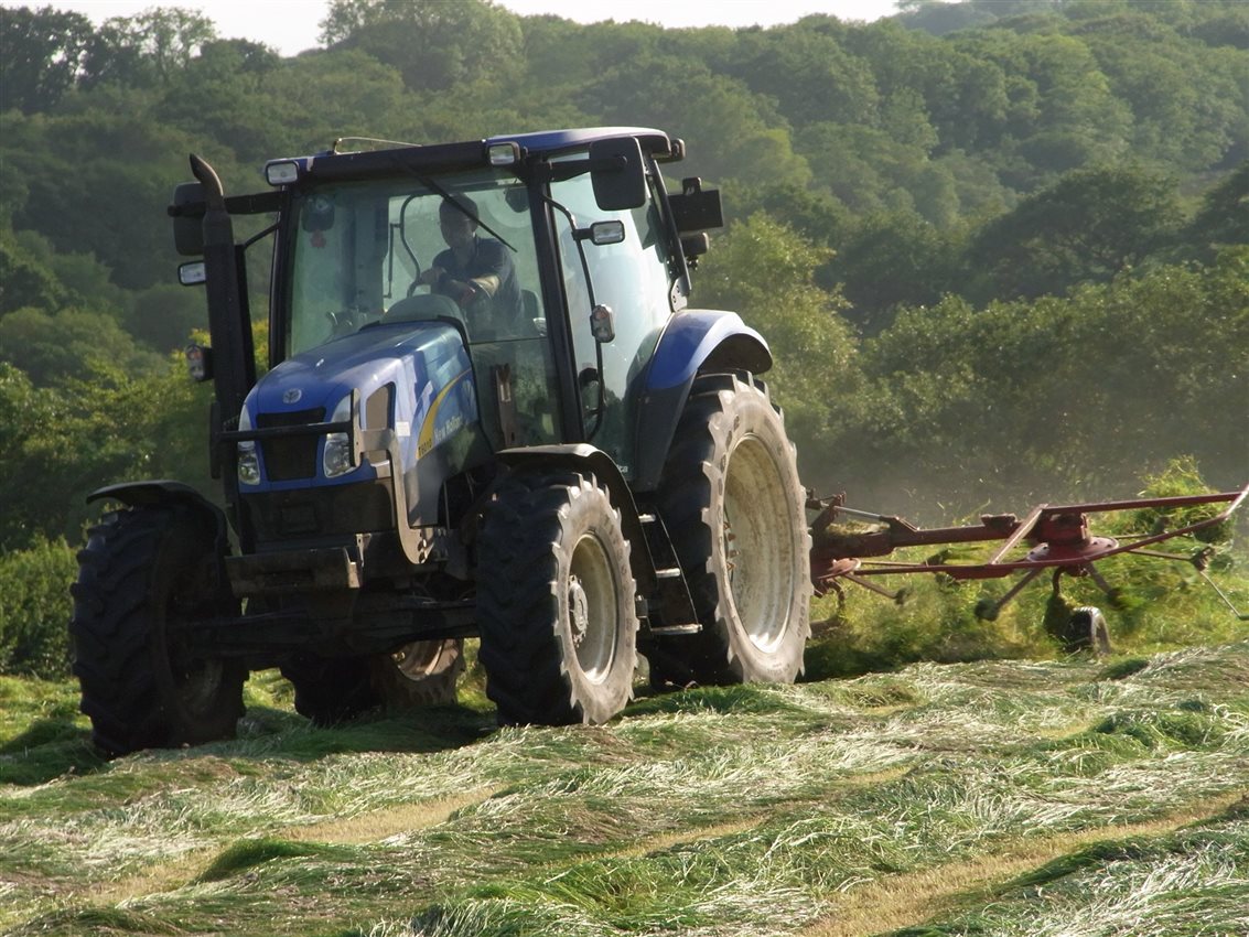 Forda Farm Bed and Breakfast | Farm Stay